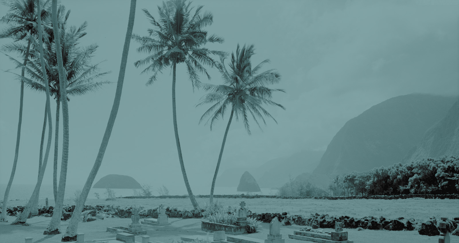 story Archives - Page 4 of 7 - The Atavist Magazine