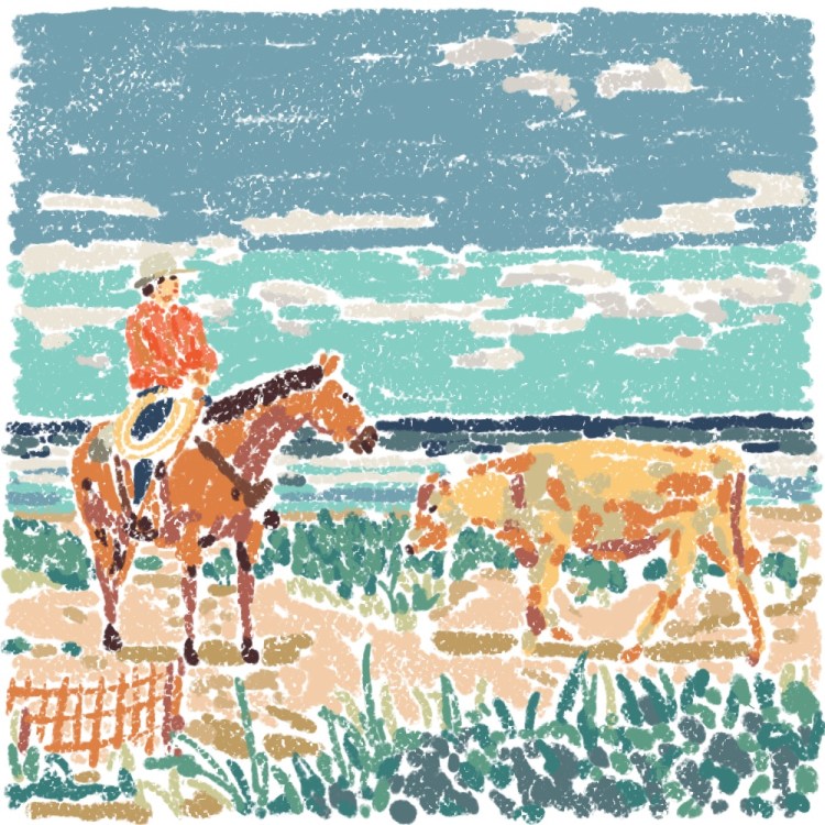 The Cows Who Swam Through a Hurricane