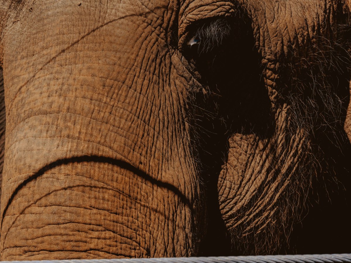 Sanctuary - The Atavist Magazine