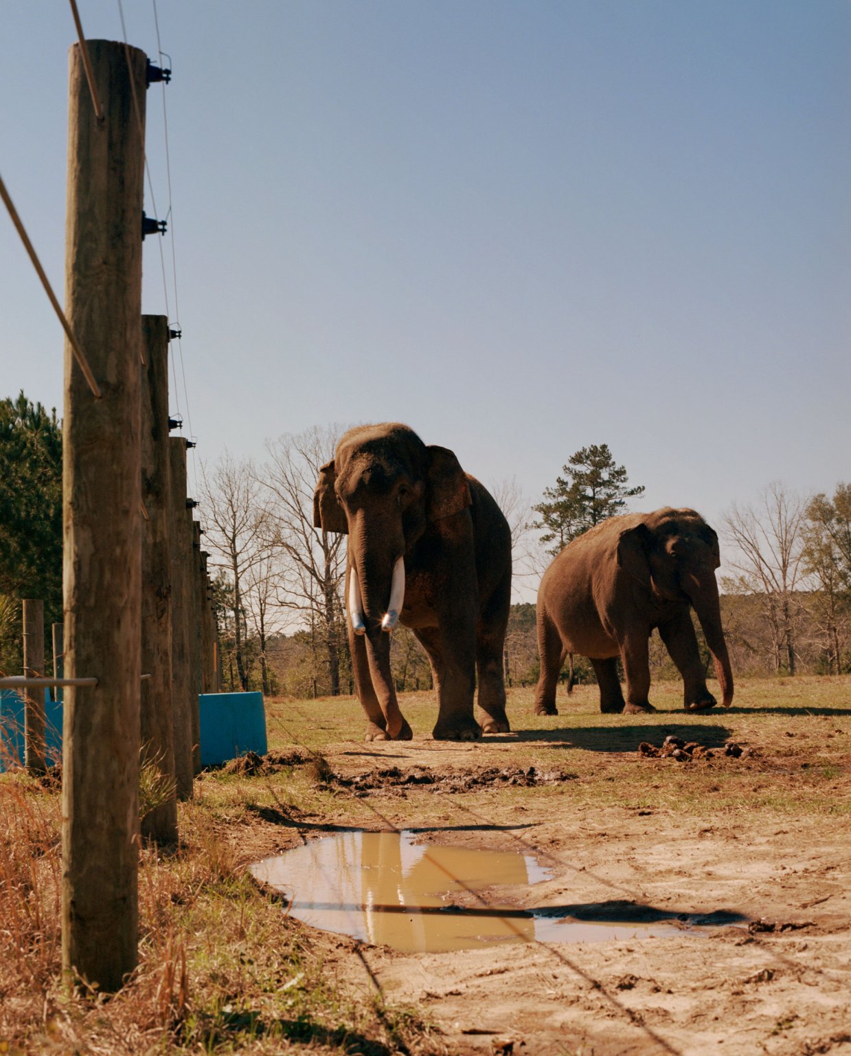 Sanctuary - The Atavist Magazine