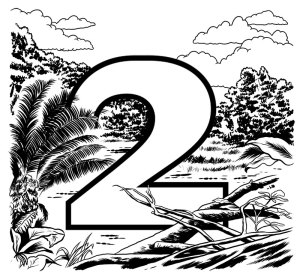 Miracle in the Jungle - The Atavist Magazine