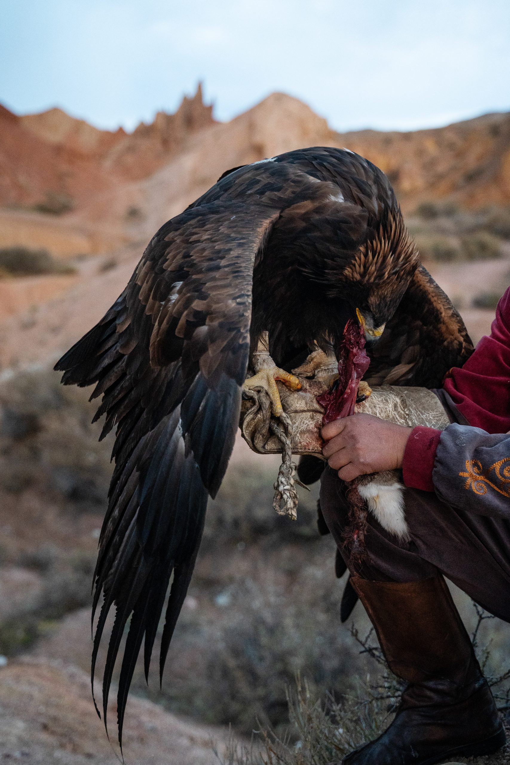 The Atavist Magazine